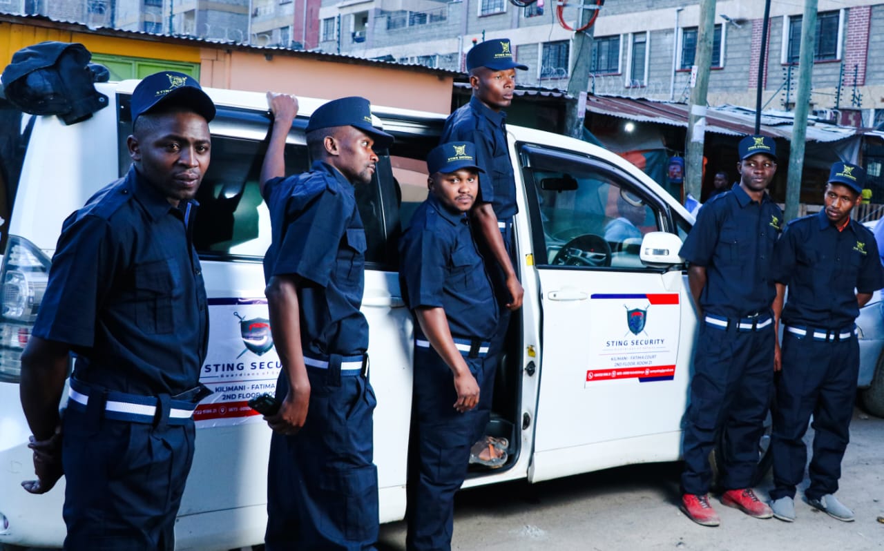 Sentry Sting Security: Comprehensive Protection Solutions